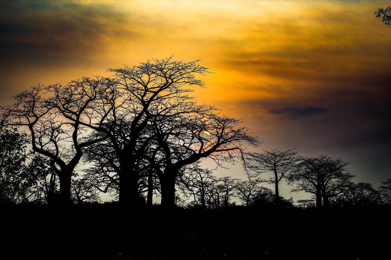 5 lugares para conhecer a natureza de Luanda, em Angola - Noruega